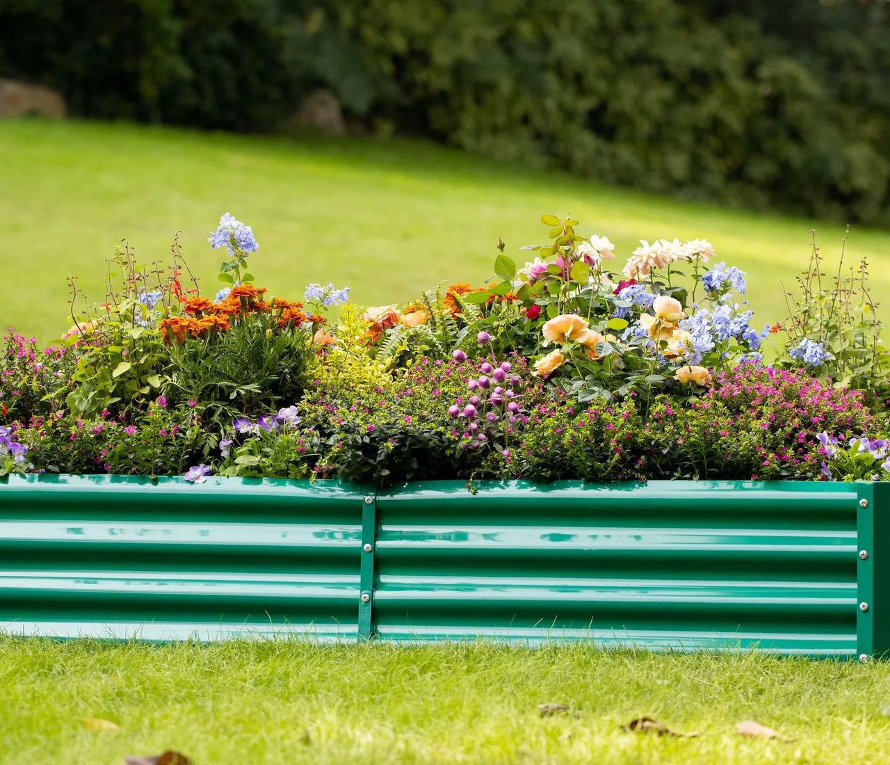 Raised Garden Bed Dimensions: Which Size Should You Choose? – Land Guard
