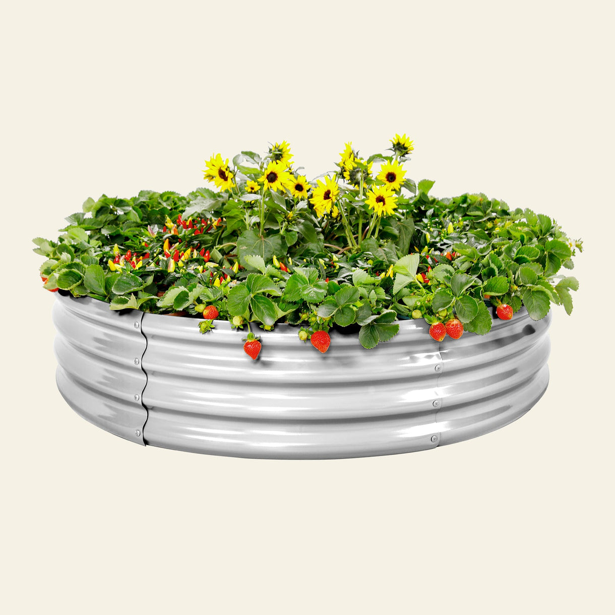 Round 4x4x1ft Galvanized Raised Garden Bed – Land Guard